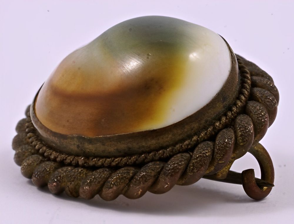 Antique Victorian Bronze Tone and Operculum Shell Brooch | Arabella Bianco
